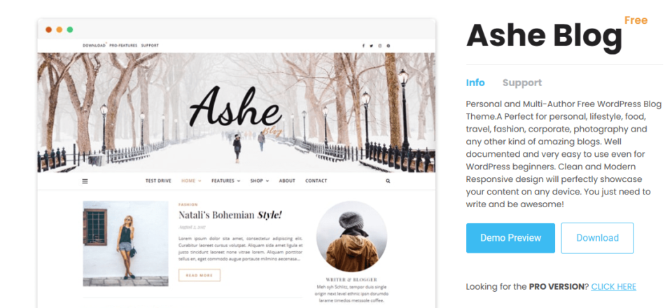 Top 10 Free WordPress Themes for your Website