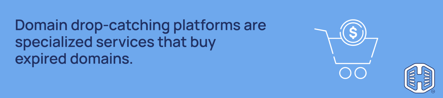 5 Tips for Finding Expiring Domain Names - Hosted.com Blog