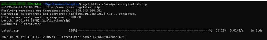 How To Use The Wget Command - Hosted.com Tutorial