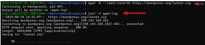 How To Use The Wget Command - Hosted.com Tutorial