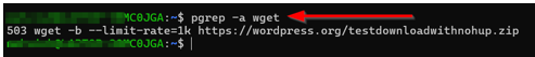 How To Use The Wget Command - Hosted.com Tutorial