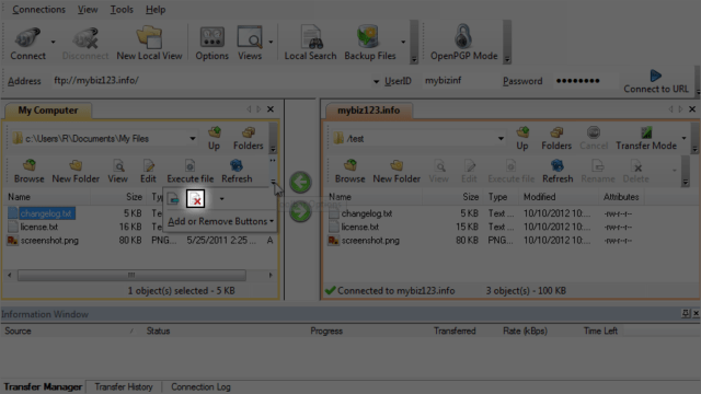 How To Upload Files Using CuteFTP - Hosted.com