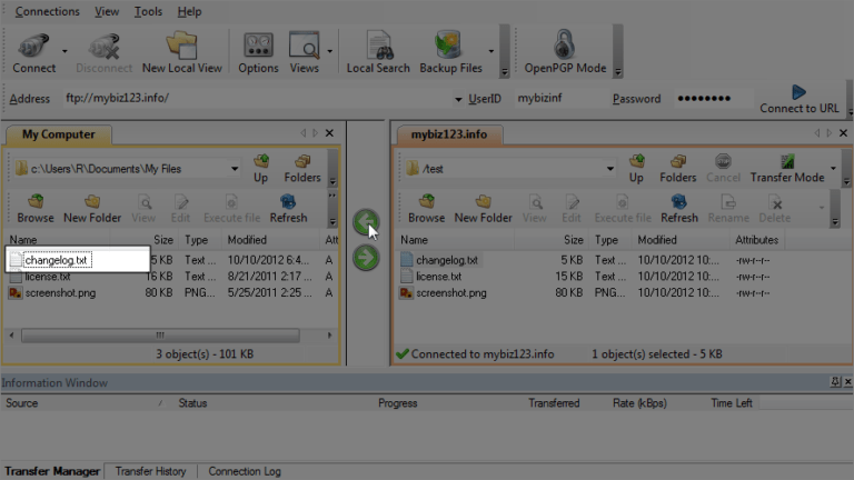 How To Upload Files Using CuteFTP - Hosted.com